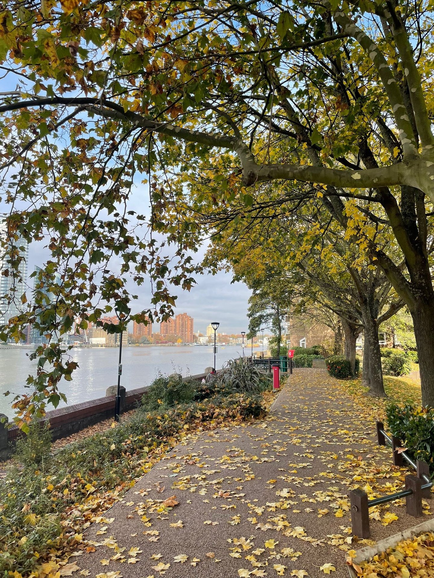 Merge Replication Identity Range Management Part 1 | Pythian