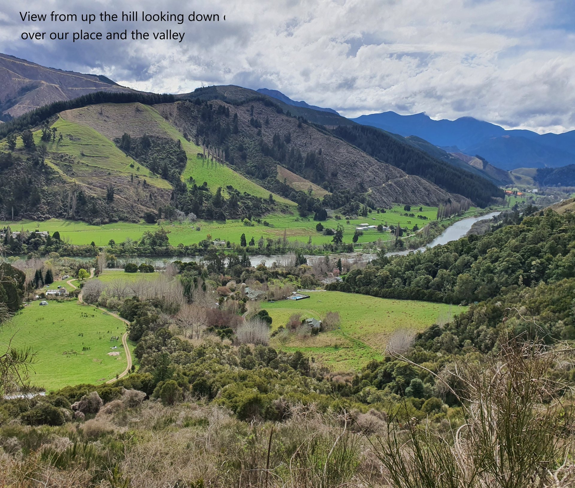 Welcome to New Zealand | Official Pythian®® Blog