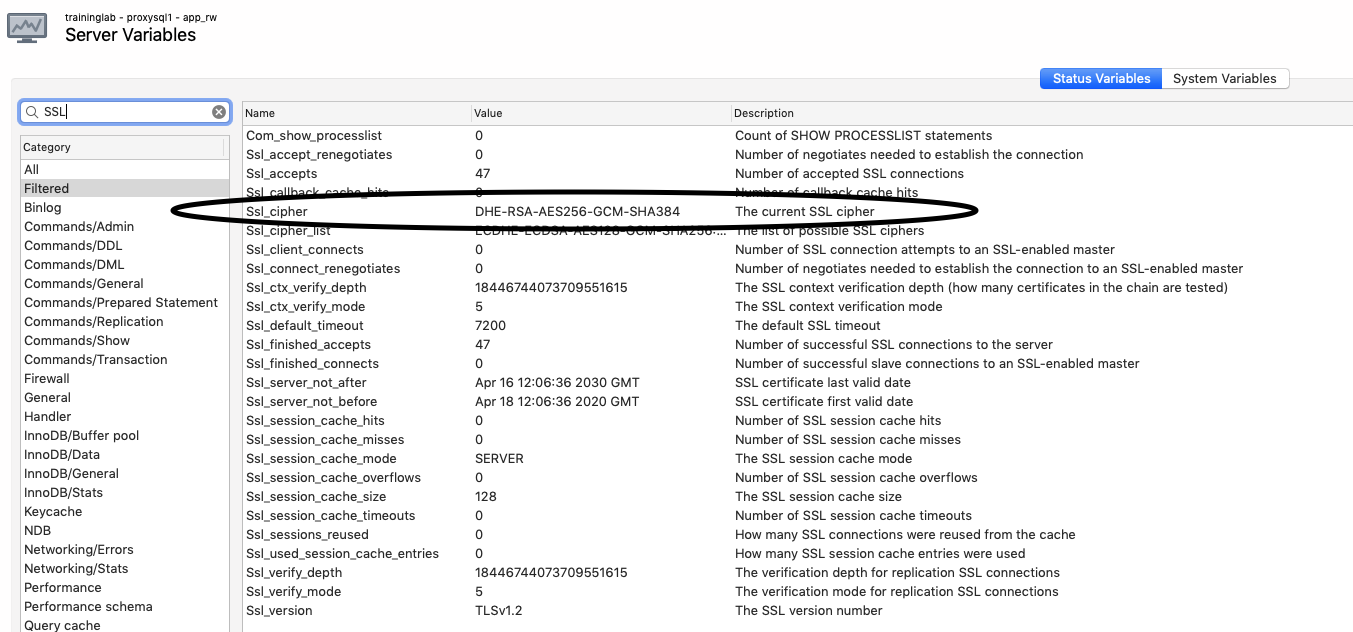 Using MySQL Workbench to Connect Through ProxySQL 2