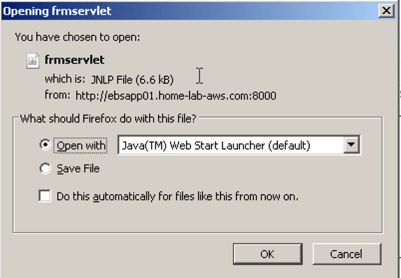 Oracle E-Business Suite and Java Web Start. Finally!