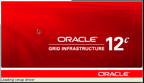How to Install Oracle 12c RAC: a Step-by-Step Guide
