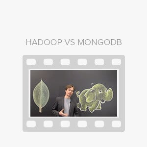 Hadoop vs MongoDB